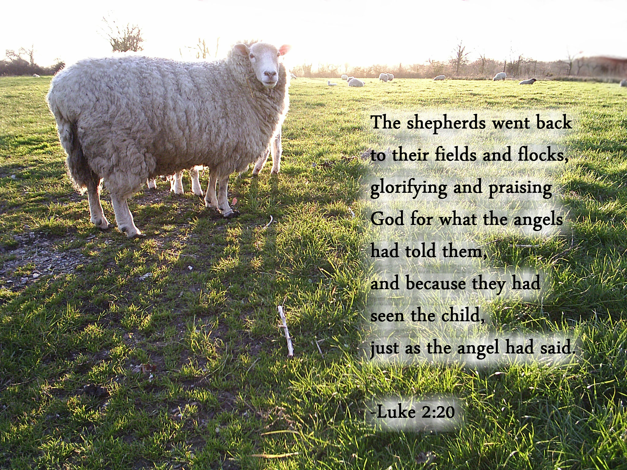 More extraordinary – My Everyday God
